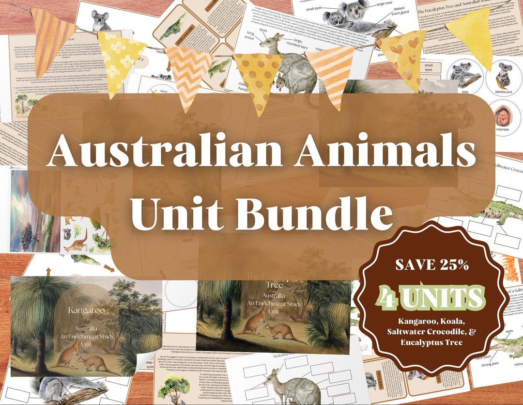 Australian Animals Enrichment Study Unit, Kangaroo, Koala, Saltwater ...