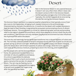 Sonoran Desert Unit Plan, Ecology Lesson Plan, Desert Curriculum ...