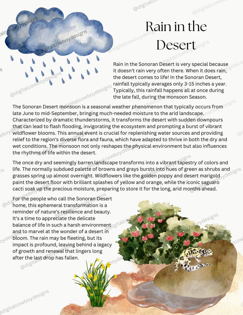 Sonoran Desert Unit Plan, Ecology Lesson Plan, Desert Curriculum ...