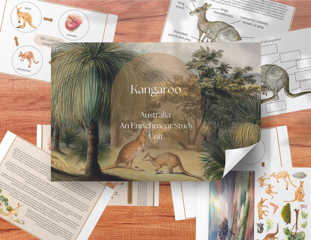 Kangaroo Enrichment Study Unit, Australia Lesson, Homeschool Kangaroo ...