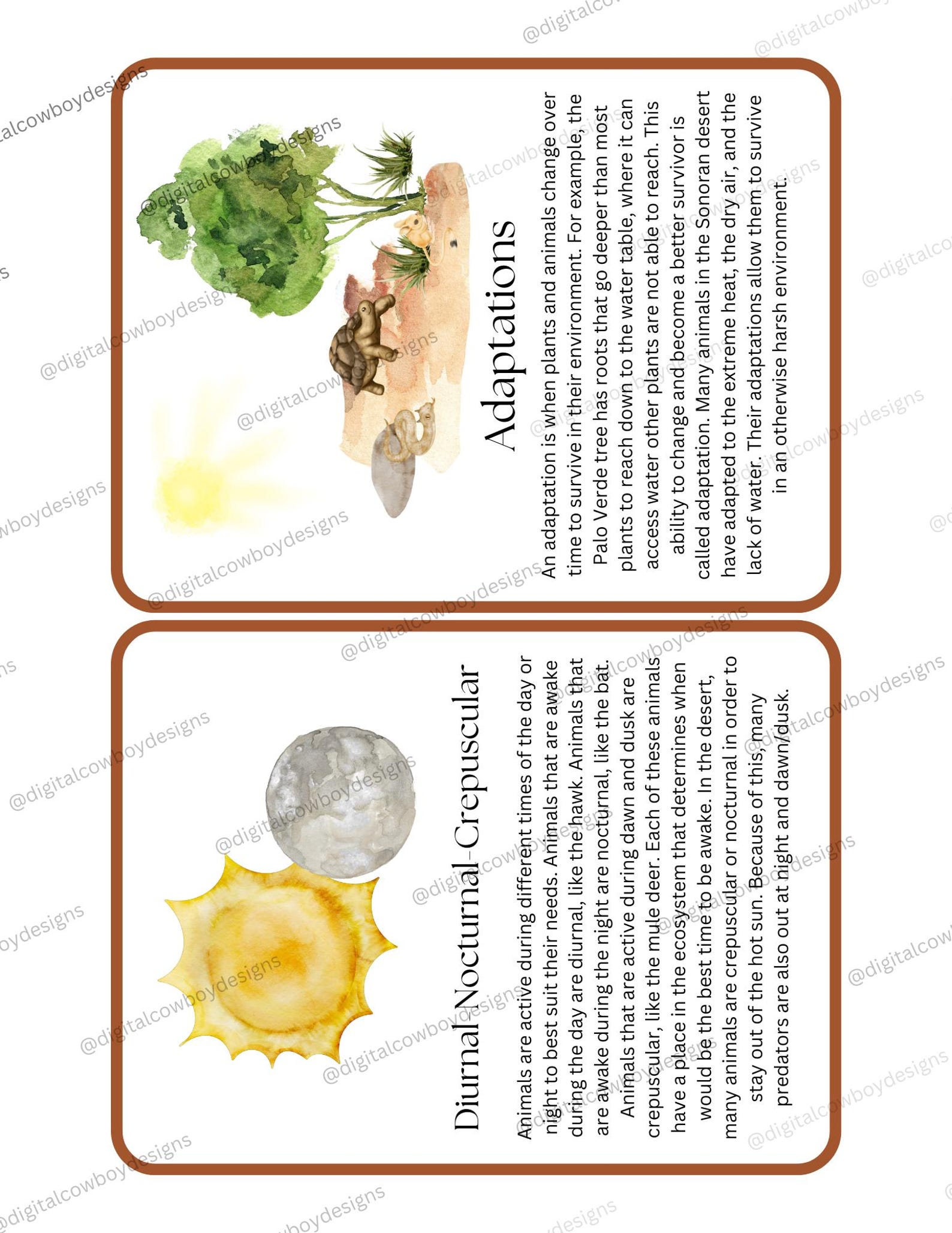 Sonoran Desert Unit Plan, Ecology Lesson Plan, Desert Curriculum ...