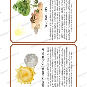 Sonoran Desert Unit Plan, Ecology Lesson Plan, Desert Curriculum ...