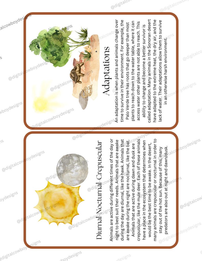 Sonoran Desert Unit Plan, Ecology Lesson Plan, Desert Curriculum ...