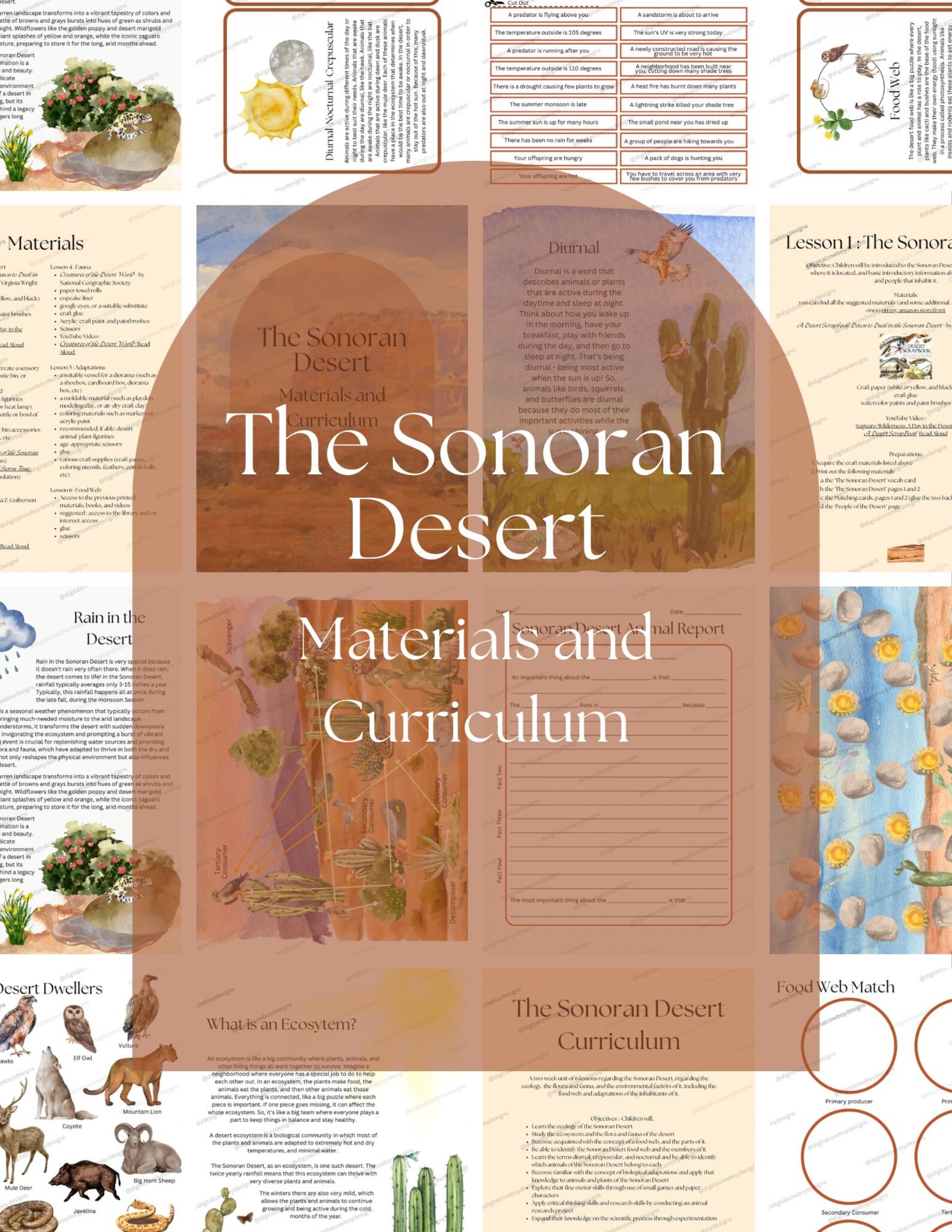 Sonoran Desert Unit Plan, Ecology Lesson Plan, Desert Curriculum ...