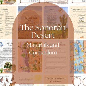 Sonoran Desert Unit Plan, Ecology Lesson Plan, Desert Curriculum ...