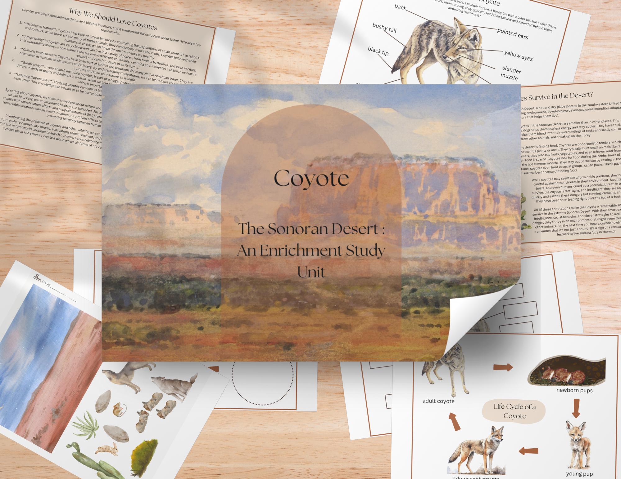 Coyote Enrichment Study Unit, Sonoran Desert Lesson, Homeschool Coyote ...