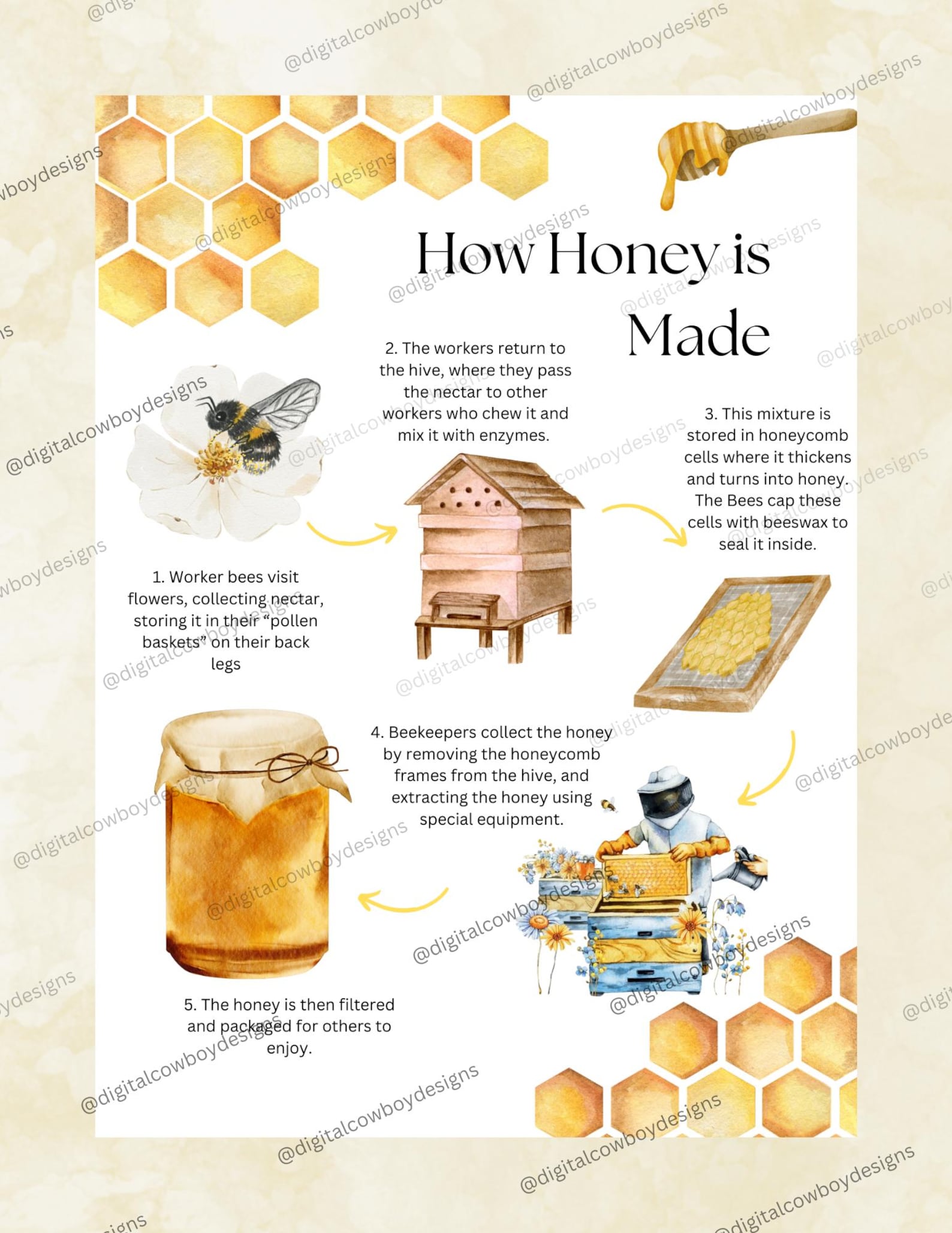 The Honey Bee Unit Plan, Bee Lesson Plan, Honey Curriculum, Homeschool ...