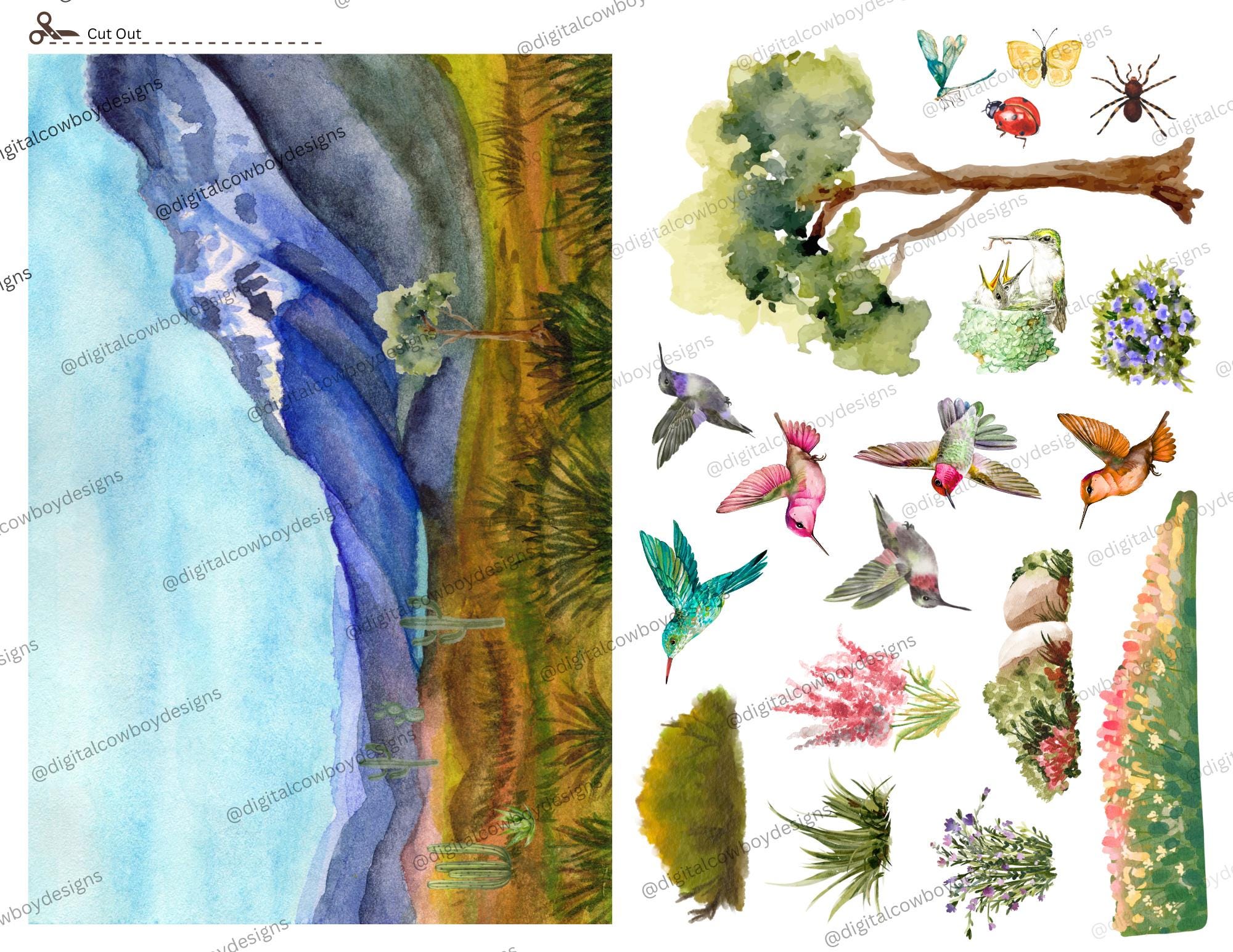 Hummingbird Enrichment Study Unit, Sonoran Desert Lesson, Homeschool ...