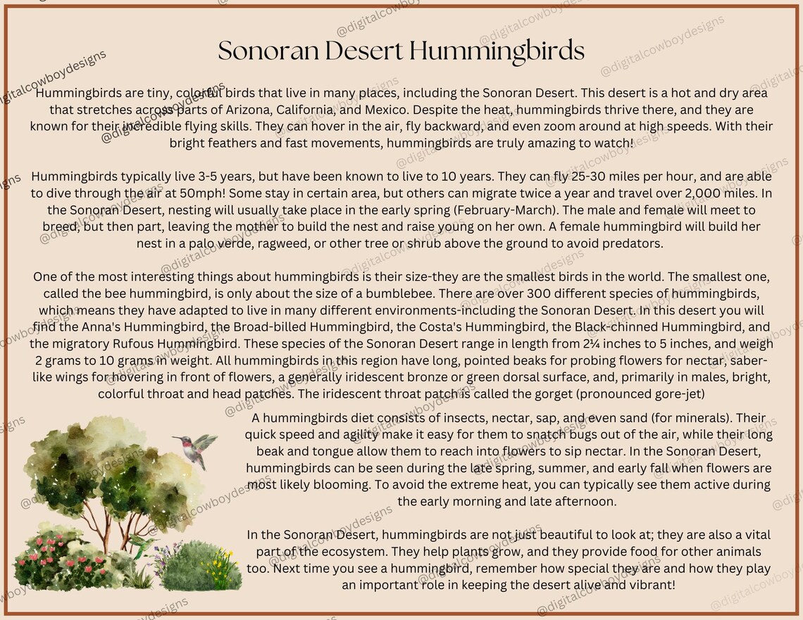 Hummingbird Enrichment Study Unit, Sonoran Desert Lesson, Homeschool ...
