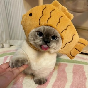 Pet Cat Costume Taiyaki Fish Shaped Bread Hat Cosplay Cute - Etsy