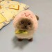 Pet Cat Dog Costume Apple Red Fruit Shaped Hat Cosplay Cute Silly Funny ...