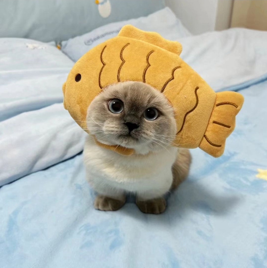 Pet Cat Costume Taiyaki Fish Shaped Bread Hat Cosplay Cute - Etsy