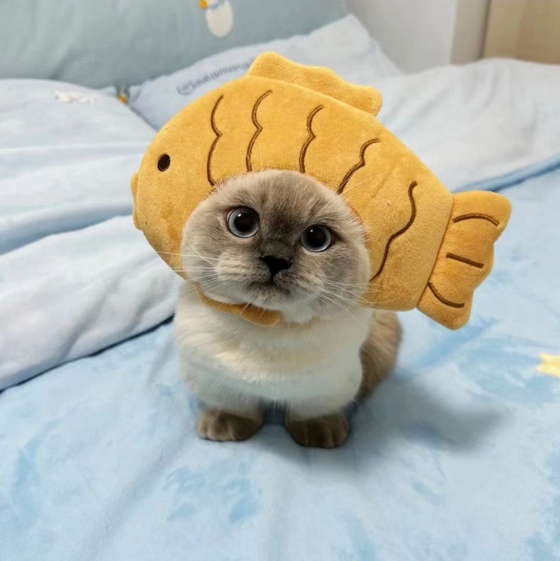 Pet Cat Costume Taiyaki Fish Shaped Bread Hat Cosplay Cute - Etsy