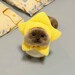 Pet Cat Costume Taiyaki Fish Shaped Bread Hat Cosplay Cute - Etsy