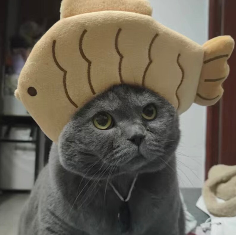 Pet Cat Costume Taiyaki Fish Shaped Bread Hat Cosplay Cute - Etsy