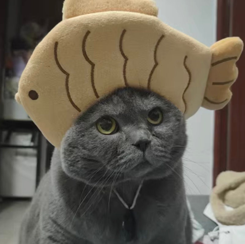 Pet Cat Costume Taiyaki Fish Shaped Bread Hat Cosplay Cute - Etsy