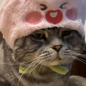 Pet Cat Dog Costume Apple Red Fruit Shaped Hat Cosplay Cute Silly Funny ...