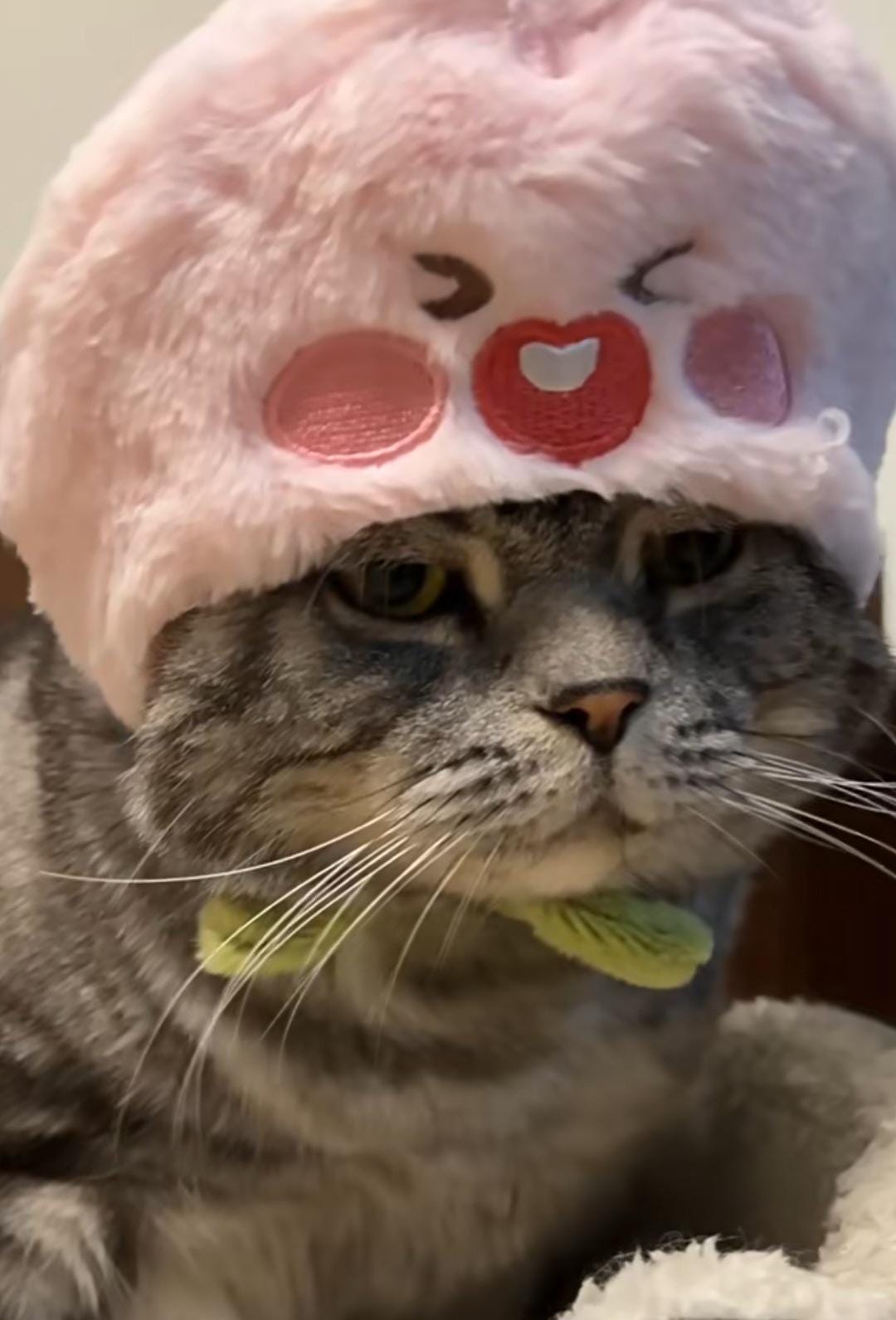 Pet Cat Dog Costume Apple Red Fruit Shaped Hat Cosplay Cute Silly Funny ...