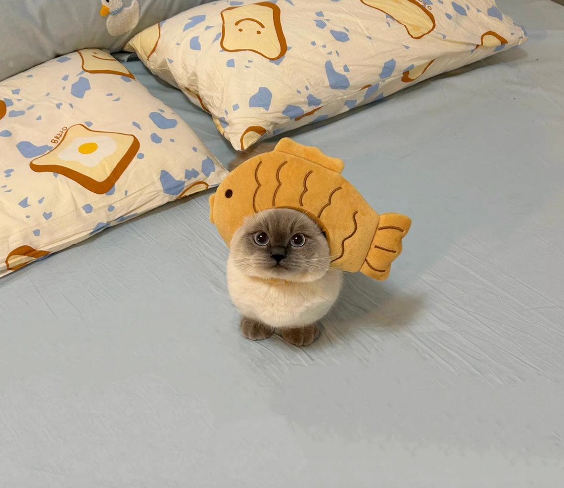 Pet Cat Costume Taiyaki Fish Shaped Bread Hat Cosplay Cute - Etsy