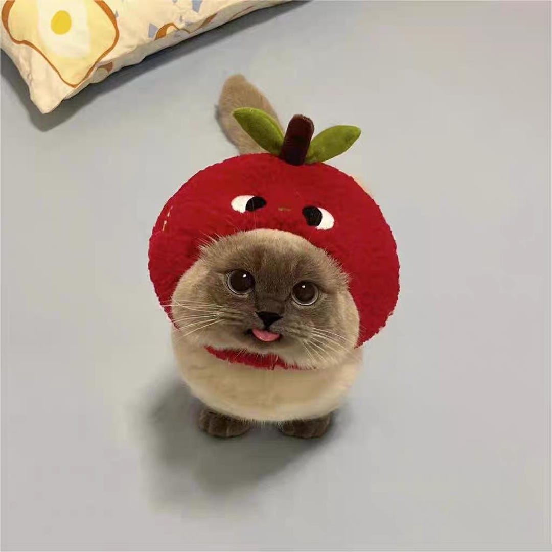 Pet Cat Dog Costume Apple Red Fruit Shaped Hat Cosplay Cute Silly Funny ...