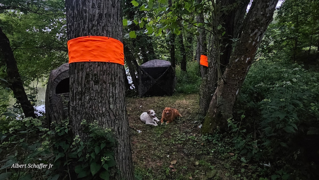 HI VIZ Blaze Orange Hunting Alert Band - Etsy