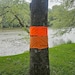 HI VIZ Blaze Orange Hunting Alert Band - Etsy