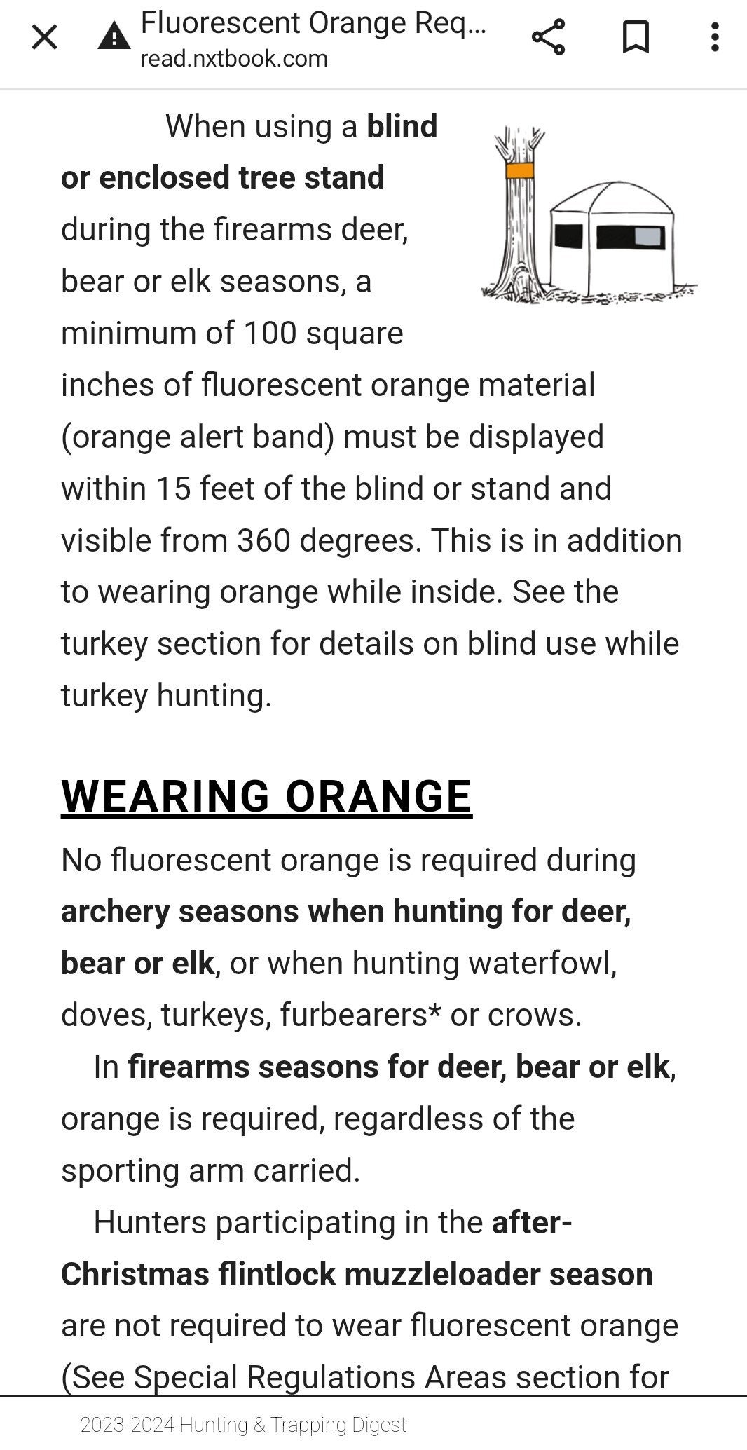 HI VIZ Blaze Orange Hunting Alert Band - Etsy