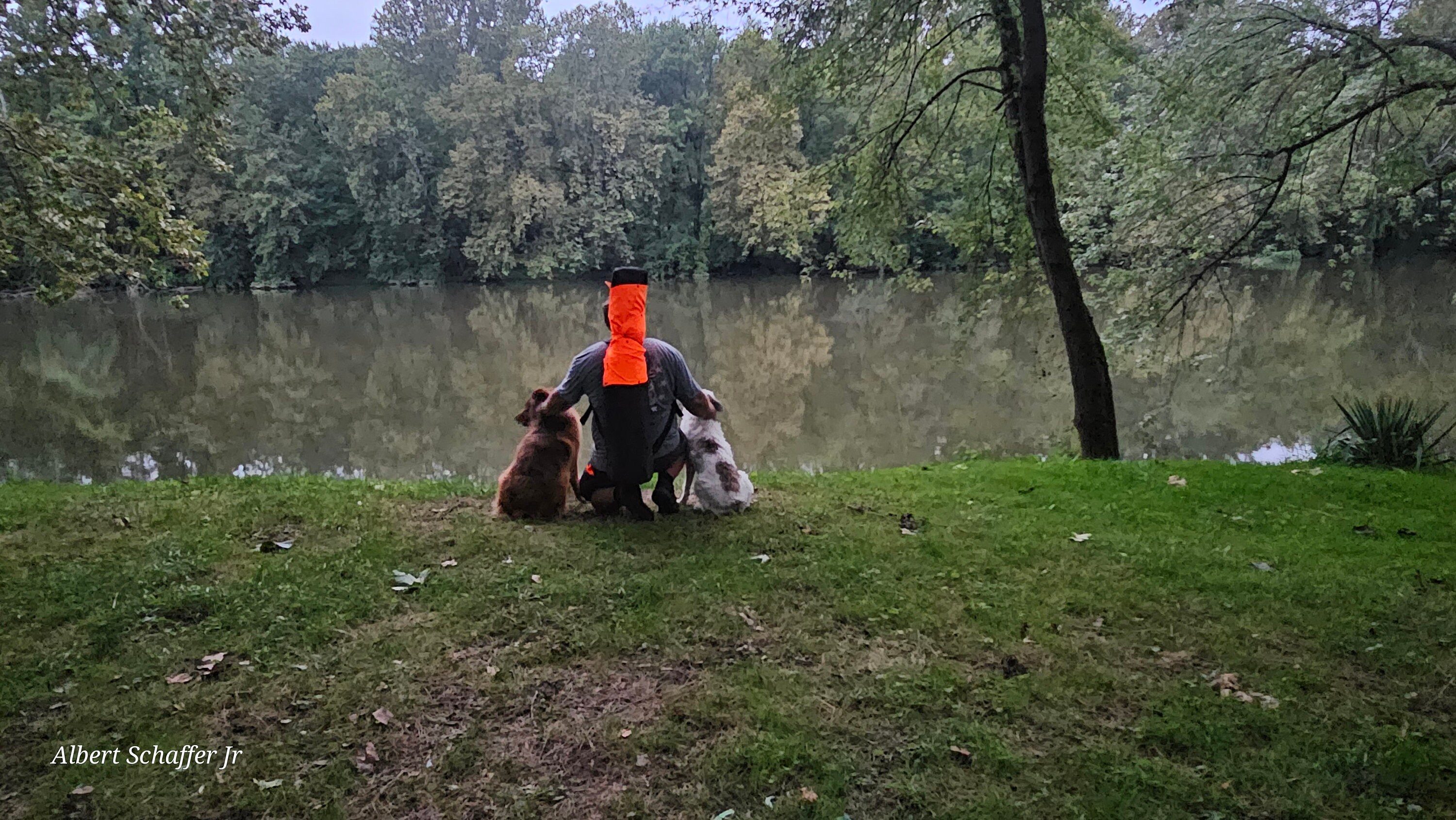 HI VIZ Blaze Orange Hunting Alert Band - Etsy