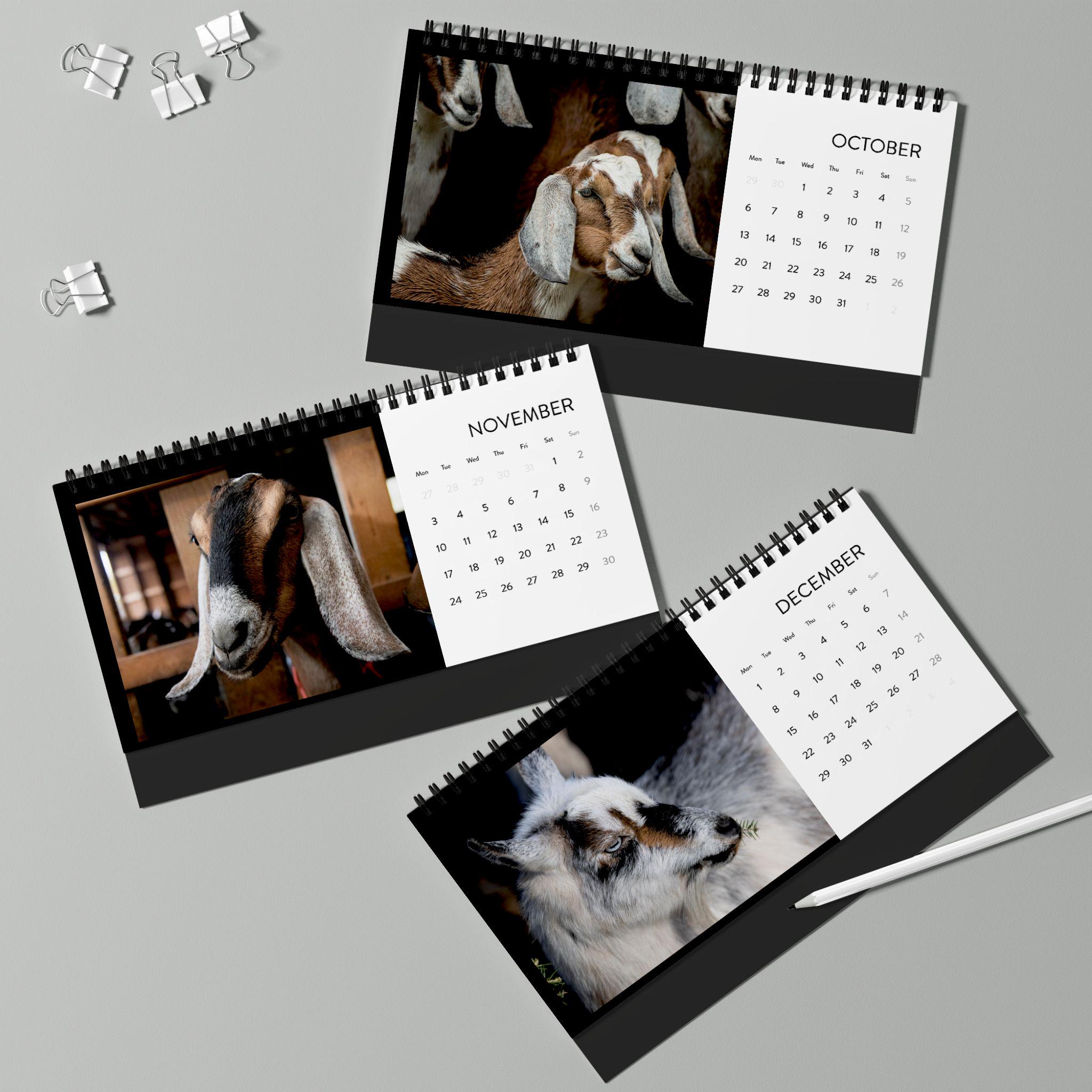 Desk Calendar, 2025 Simplex Goat Year Calendar, Cute Goat Monthly ...