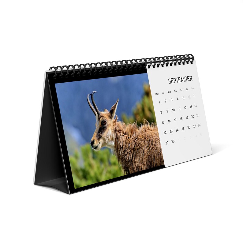 Desk Calendar, 2025 Simplex Goat Year Calendar, Cute Goat Monthly ...