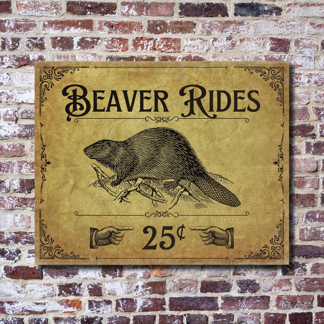 Vintage Style Metal Sign: Beaver Rides 25 Cents - Adult Humor Sign ...