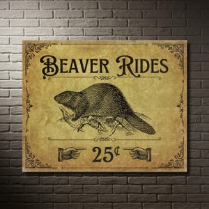 Vintage Style Metal Sign: Beaver Rides 25 Cents - Adult Humor Sign ...