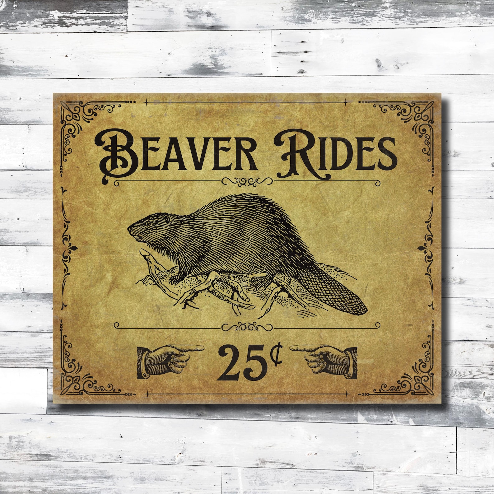 Vintage Style Metal Sign: Beaver Rides 25 Cents - Adult Humor Sign ...