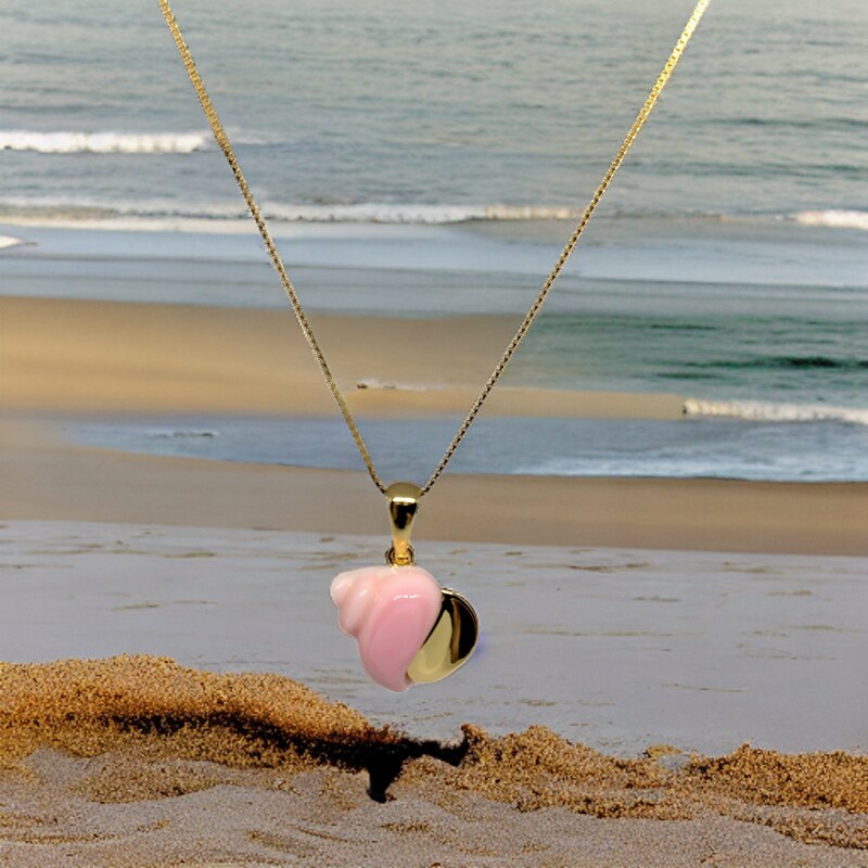 Conch Seashell - Etsy