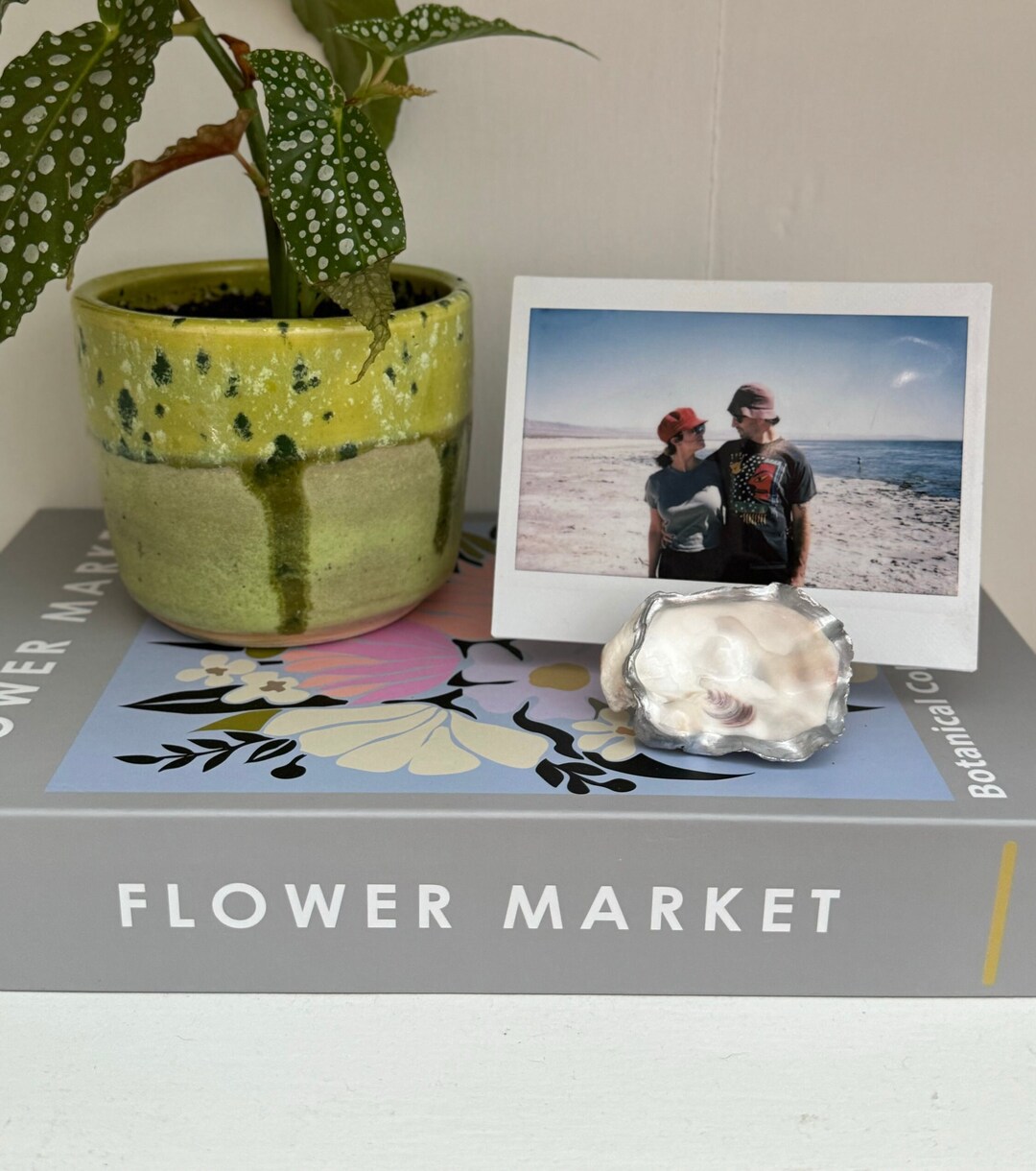 Mini Silver Oyster Photo Holder Polaroid Picture Holder Art Print ...