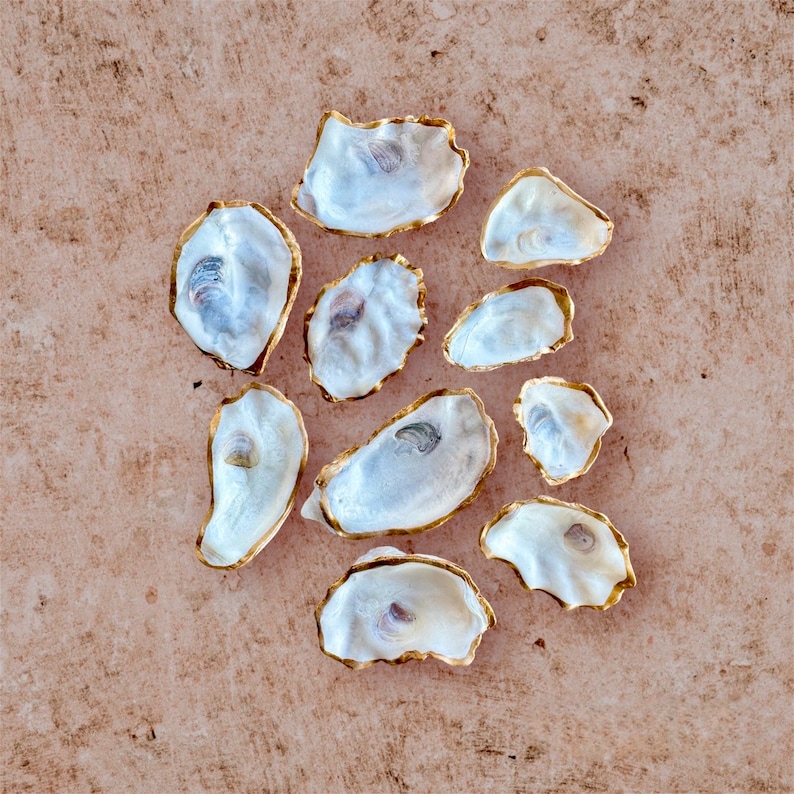 Table Number Holder Gold Oyster Shell Wedding Name Card Holder Oyster ...