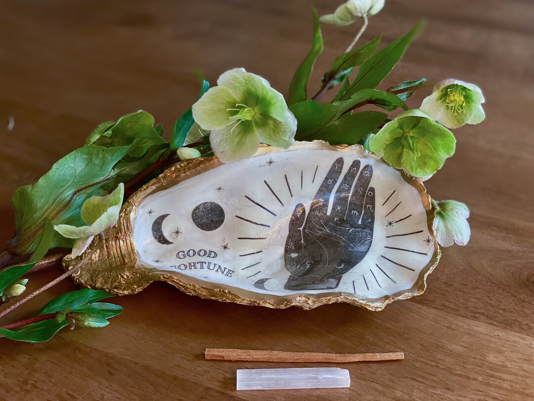 Large Oyster Trinket Dish Giant Oyster Bowl Ritual Bowls Fireplace ...