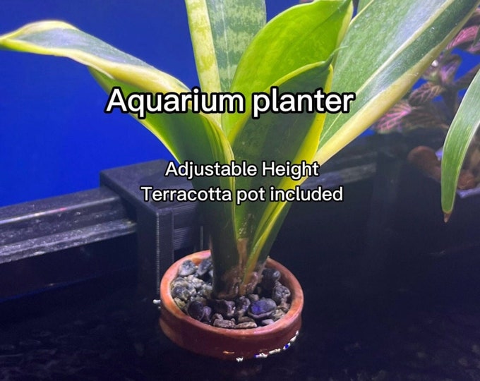 Aquarium Planter-adjustable Height 2 Inch Pot Fits All Aquariums plant ...