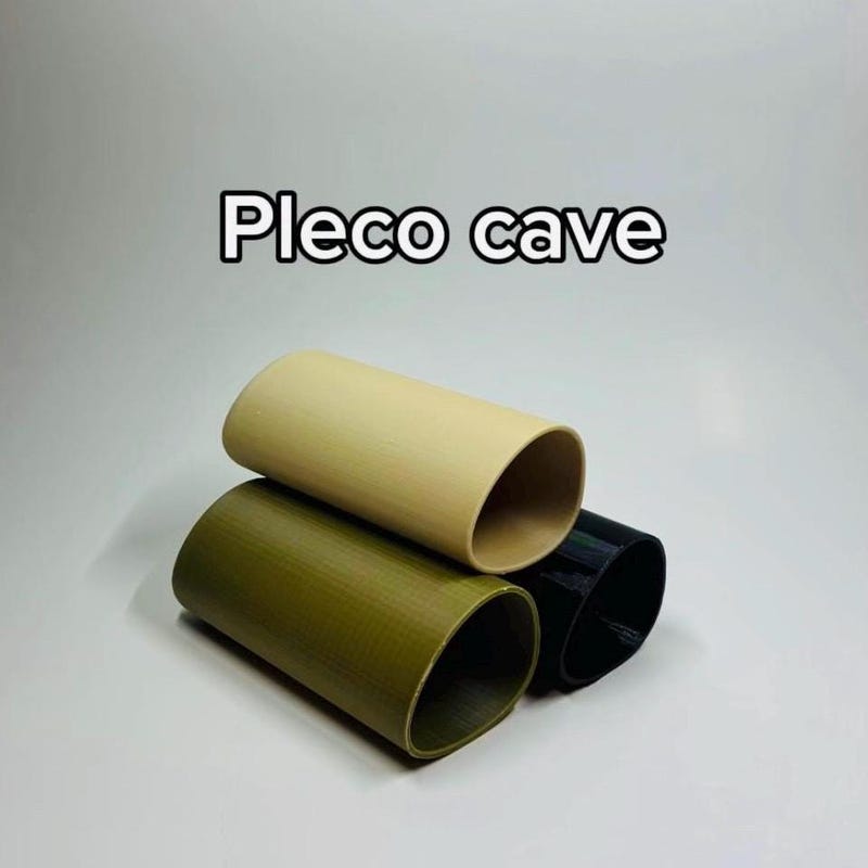 Breeding Pleco - Etsy