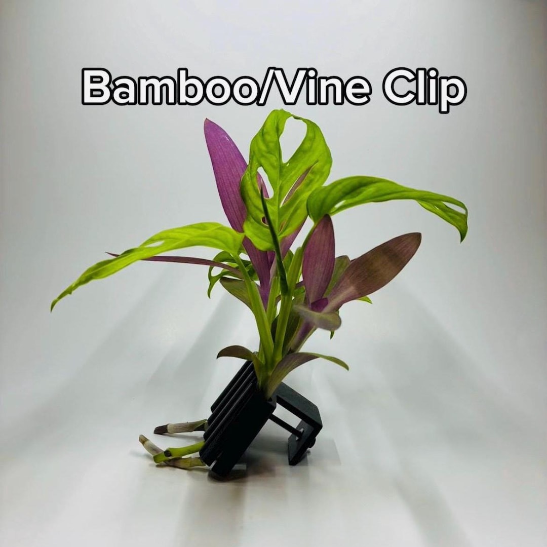 Aquatic Bamboo/vine Planter - Etsy