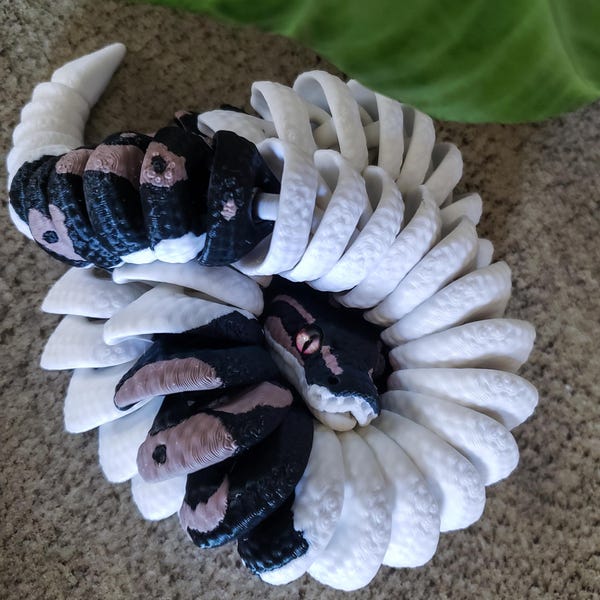 Ball Python Art Prints - Etsy