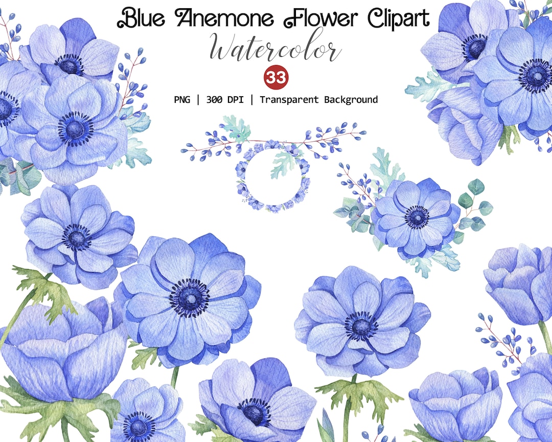Watercolor Anemone Flowers Clipart, Blue Anemones Png, Unique Wedding ...