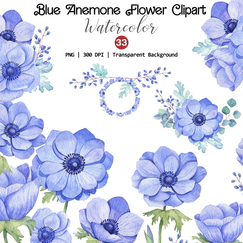 Watercolor Anemone - Etsy