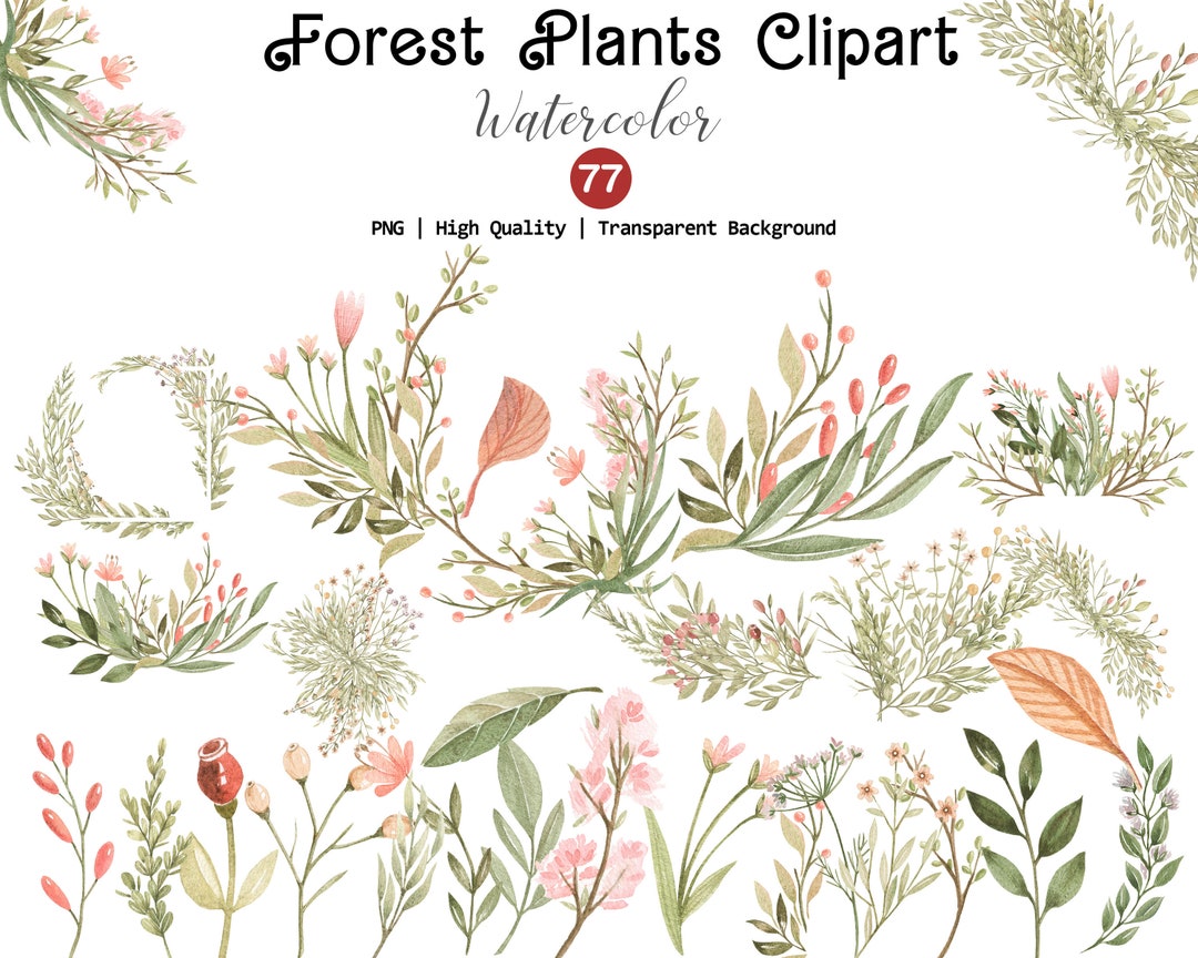 Watercolor Forest Plants Clipart, Unique Plants PNG, Floral Elements ...
