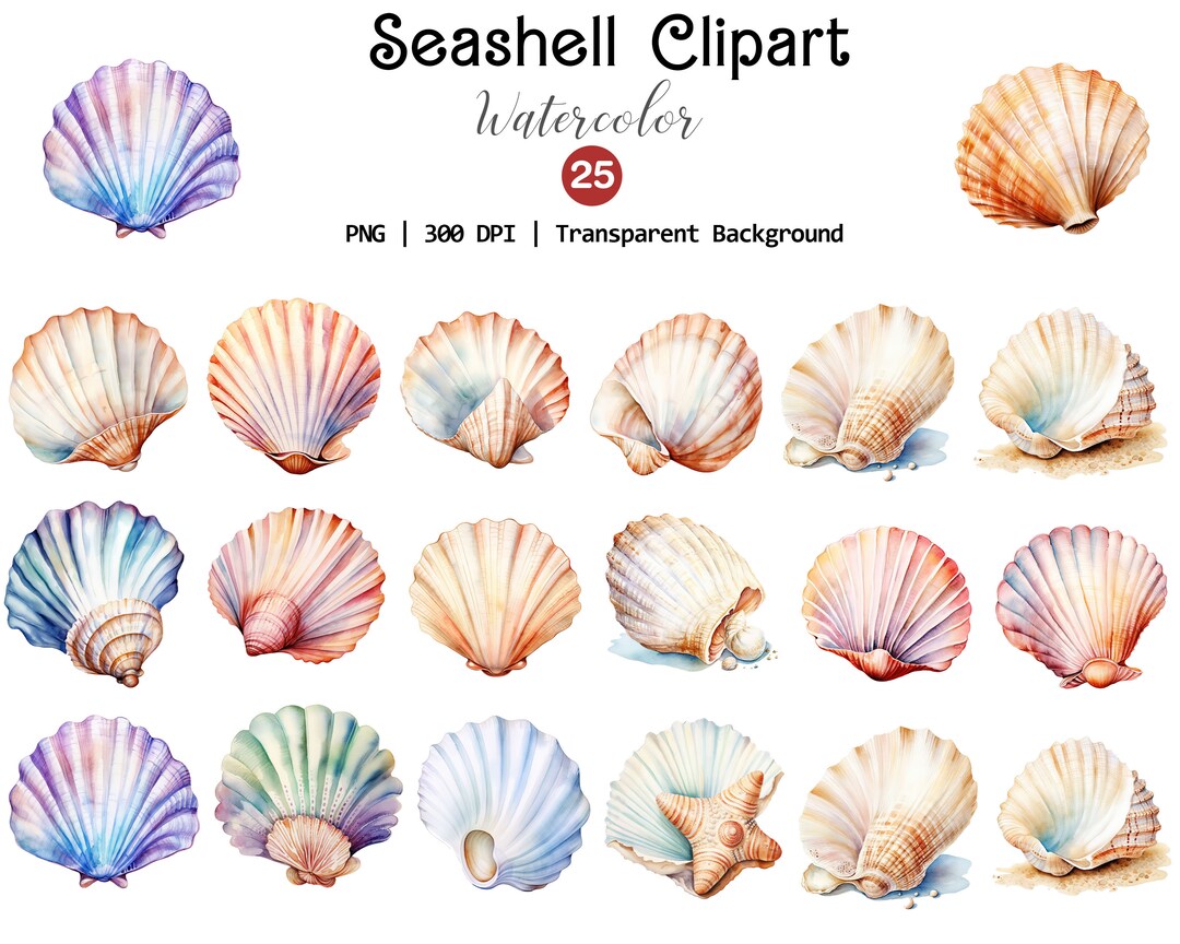Watercolor Seashells Clipart, Unique Seashell Png, Ocean Beach Clip Art ...