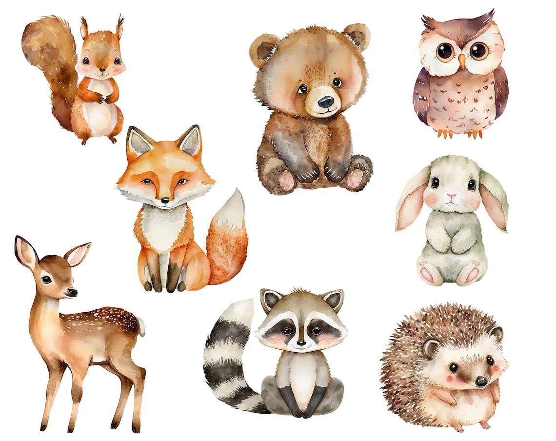 Woodland Animals Clipart Watercolor, Unique Animals Png, Cute Nursery ...