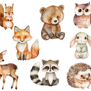 Woodland Animals Clipart Watercolor, Unique Animals Png, Cute Nursery ...