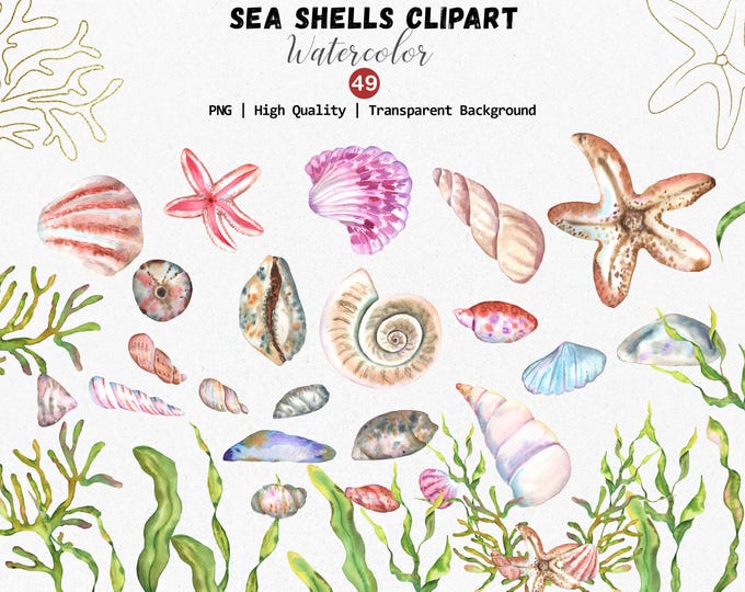 Watercolor Seashells Clipart, Ocean Beach Clip Art, Sea Shells ...