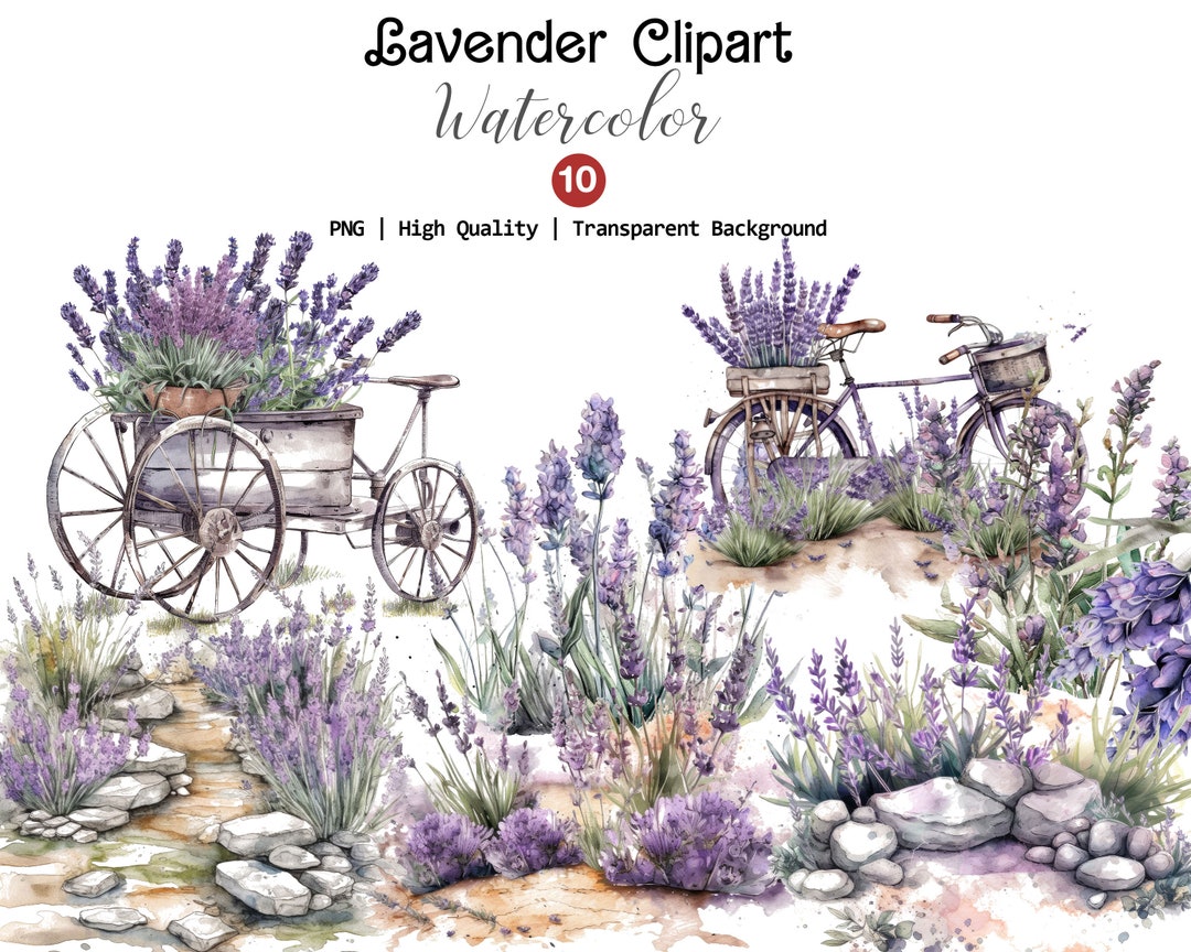 Watercolor Lavender Garden Clipart, Unique Lavender Garden PNG, Purple ...