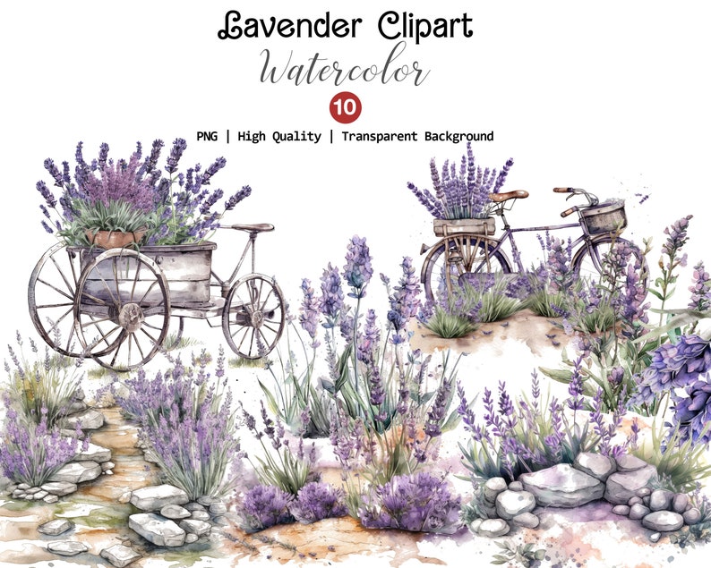 Watercolor Lavender Garden Clipart, Unique Lavender Garden PNG, Purple ...